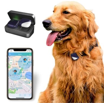 The 10 Best Dog Activity Trackers For 2025 - iHeartDogs.com