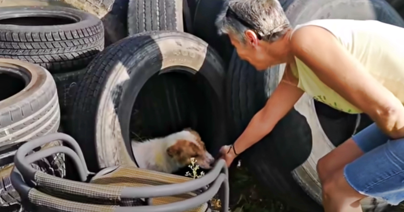 An Old Tire Was The Only Place He Felt Safe Till He Met Her Arms ...