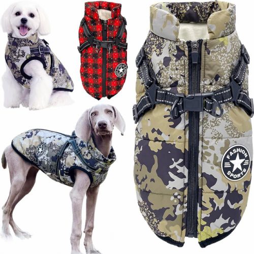 The 20 Best Winter Jackets For Dogs & Top Cold Weather Gear ...