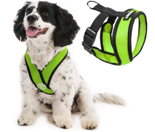 The 11 Best Dog Harnesses - iHeartDogs.com