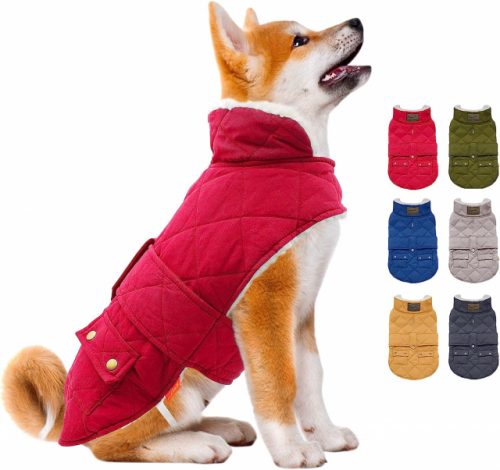 The 20 Best Winter Jackets For Dogs & Top Cold Weather Gear ...