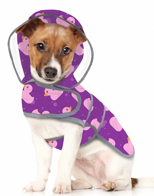 19 Best Raincoats For Dogs - iHeartDogs.com