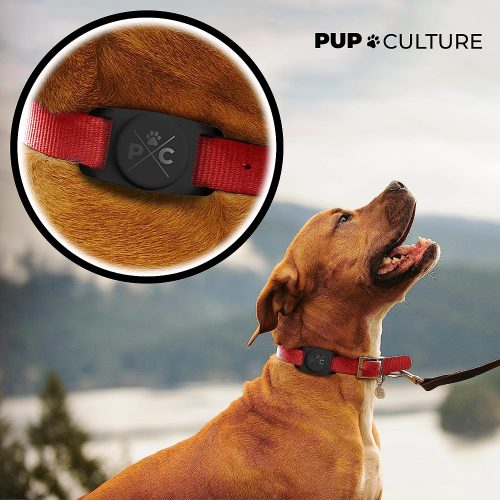 4 Best Apple Airtag Holders for Dogs - iHeartDogs.com