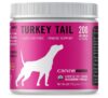 11 Best Mushroom Supplements For Dogs
