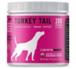 11 Best Mushroom Supplements For Dogs