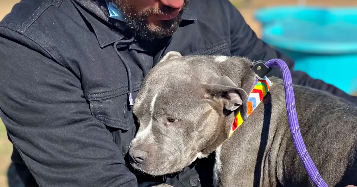 Pup Wraps Herself Around Man That Didn't Like Dogs And Changes His ...