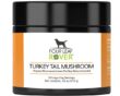 11 Best Mushroom Supplements For Dogs