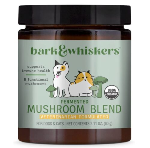 11 Best Mushroom Supplements For Dogs - iHeartDogs.com