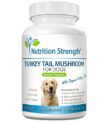 11 Best Mushroom Supplements For Dogs - iHeartDogs.com