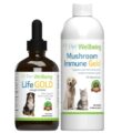 11 Best Mushroom Supplements For Dogs - iHeartDogs.com