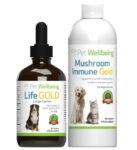11 Best Mushroom Supplements For Dogs - iHeartDogs.com