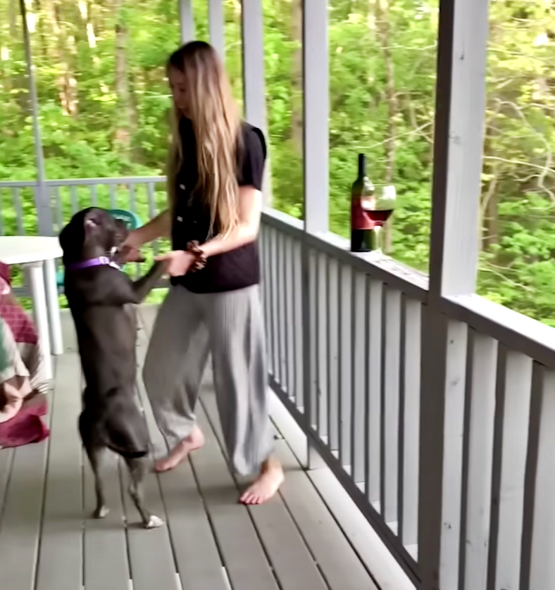 Sad Pup That Needed Her Heart Mended 'Locks Eyes' With Woman Who Needed ...