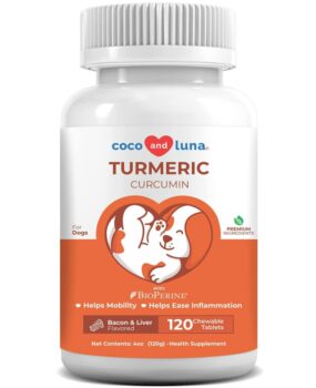 10 Choices For The Best Turmeric For Dogs - iHeartDogs.com