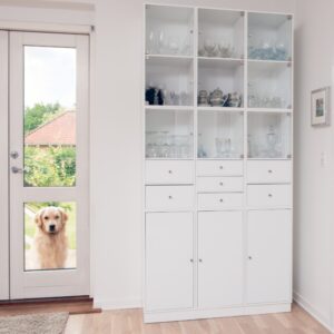 Top 9 Dog Doors for Every Home and Breed - iHeartDogs.com