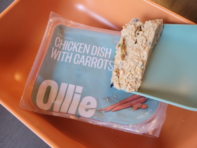 Ollie Dog Food Review: My Low-Energy Dog Tried Fresh Food For The First ...