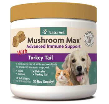 11 Best Dog Immunity Supplements - iHeartDogs.com
