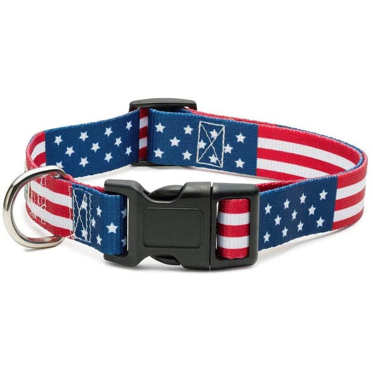 Patriotic Pup American Flag Dog Collar (XS, S, XL Sizes Available ...