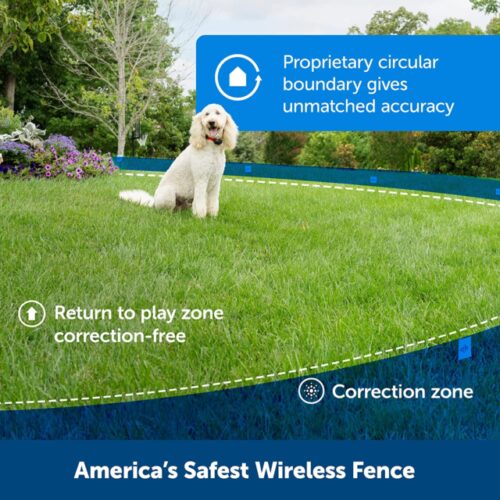 PetSafe Wireless Dog Fence Review 2025 - iHeartDogs.com