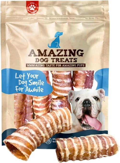 7 Best Beef Trachea Chews for Dogs - iHeartDogs.com
