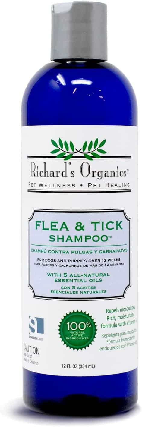 7 Best Flea and Tick Shampoos for Dogs - iHeartDogs.com