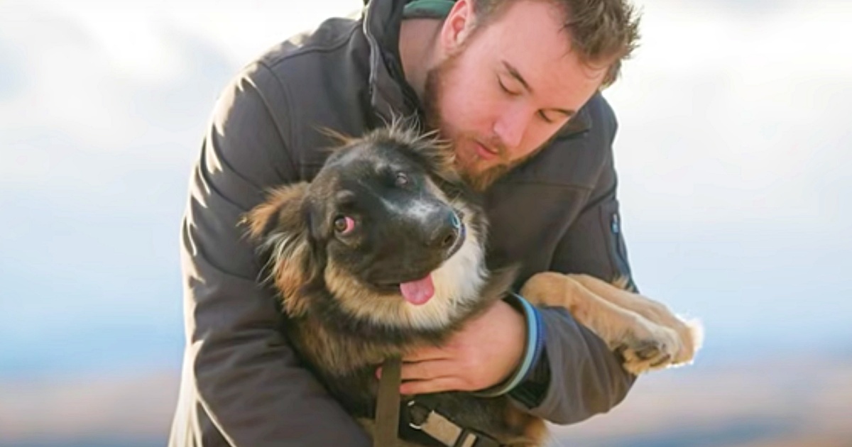 Guy Didn't Want A Dog Till This 'Wonky-Faced' Pup Charmed His Heart ...