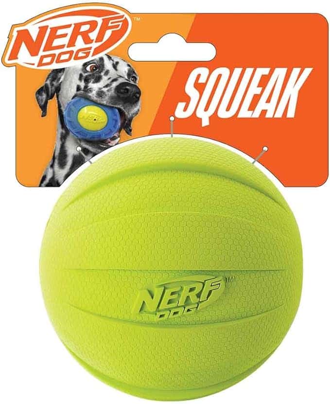 7 Best Durable Dog Balls - iHeartDogs.com