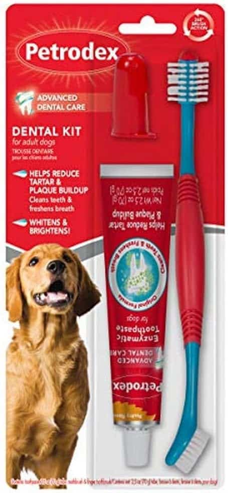 6 Best Toothbrushes for Dogs - iHeartDogs.com