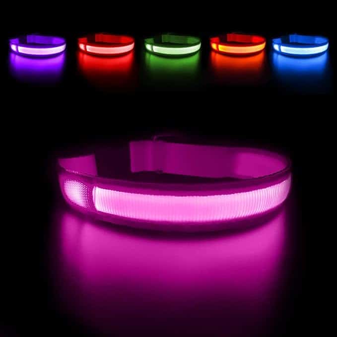 7 Best LED Dog Collars for Night Walks - iHeartDogs.com
