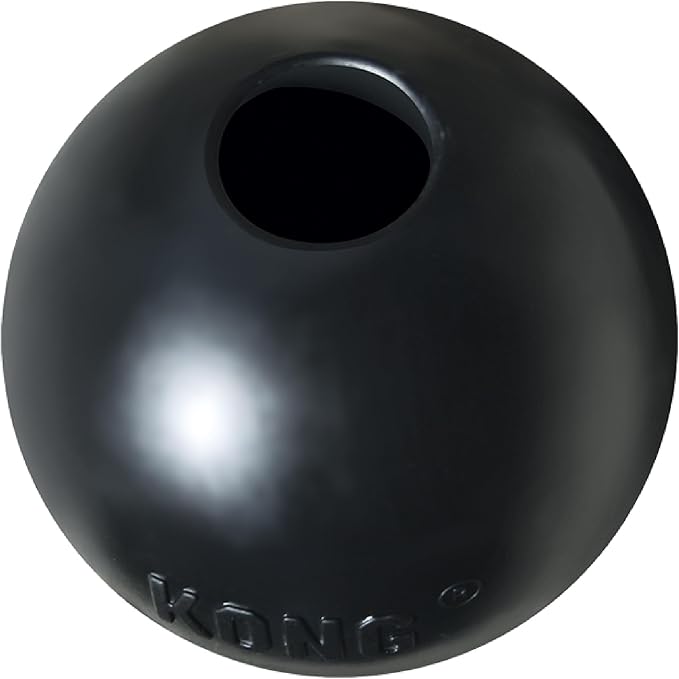7 Best Durable Dog Balls - iHeartDogs.com