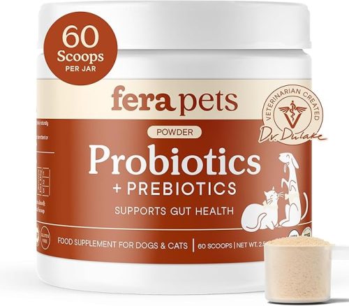 7 Best Dog Probiotic Powders - iHeartDogs.com