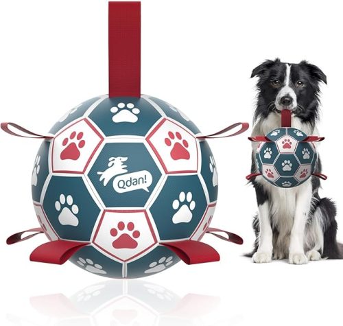 7 Best Durable Dog Balls - iHeartDogs.com