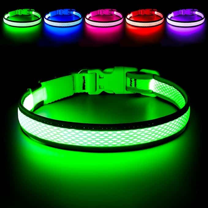 7 Best LED Dog Collars for Night Walks - iHeartDogs.com