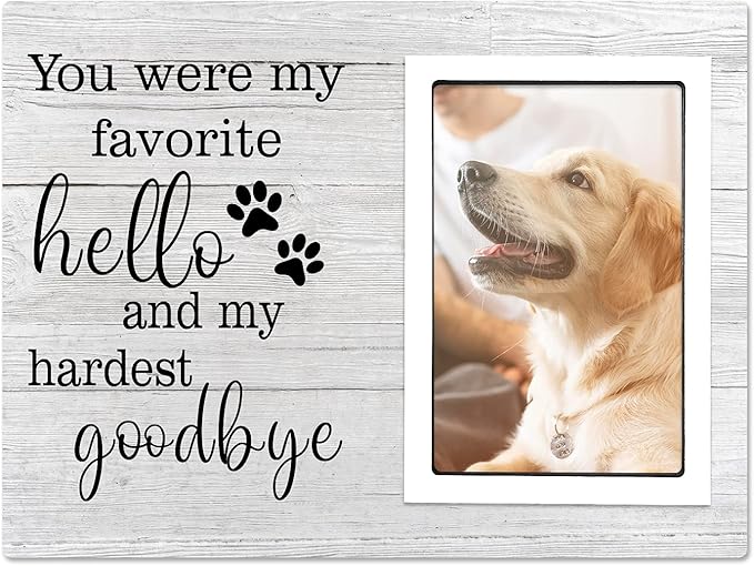 12 Best Pet Memorial Picture Frames - iHeartDogs.com
