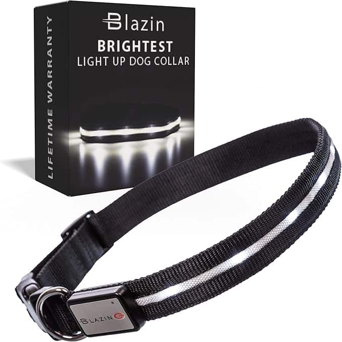 7 Best LED Dog Collars for Night Walks - iHeartDogs.com