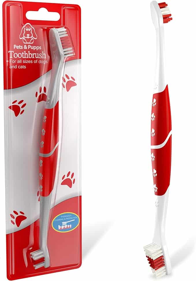 6 Best Toothbrushes for Dogs - iHeartDogs.com