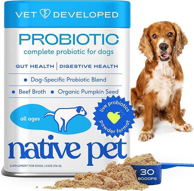 7 Best Dog Probiotic Powders - iHeartDogs.com