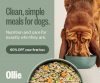 10 Health Problems Caused by Using The Wrong Dog Food - iHeartDogs.com