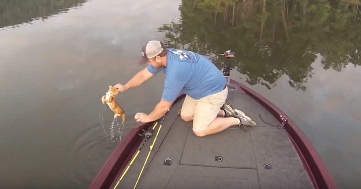 A Fisherman Brought In The Catch of A Lifetime, But It Didn’t Stop ...