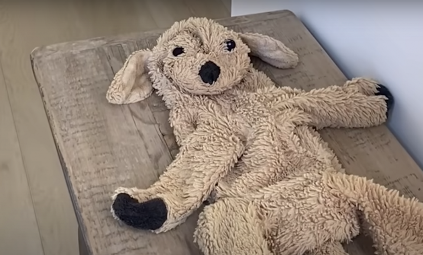 Pup's Raggedy Toy Needs A Makeover But Dog 'Won't Let Go' Of Her Friend ...