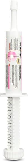 6 Best Probiotic Pastes & Gels for Dogs - iHeartDogs.com