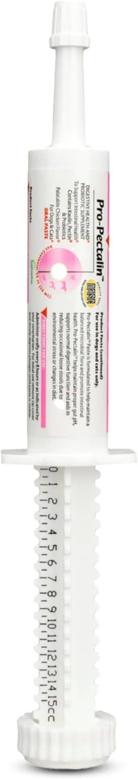 6 Best Probiotic Pastes & Gels for Dogs - iHeartDogs.com