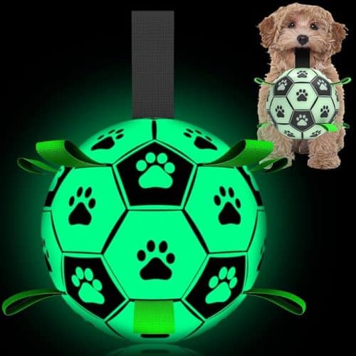 11 Best Glow in the Dark Dog Toys - iHeartDogs.com