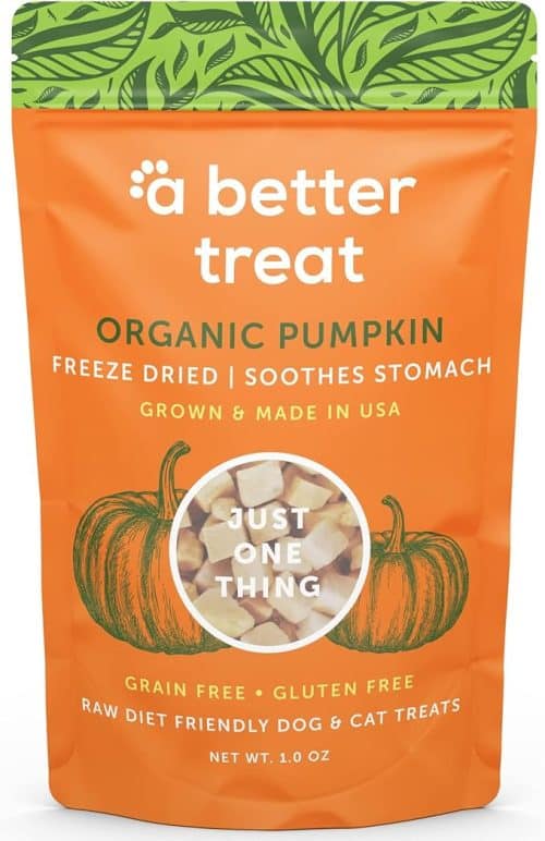 10 Best Organic Dog Treats - iHeartDogs.com