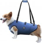 8 Best Mobility Harnesses for Senior Dogs - iHeartDogs.com