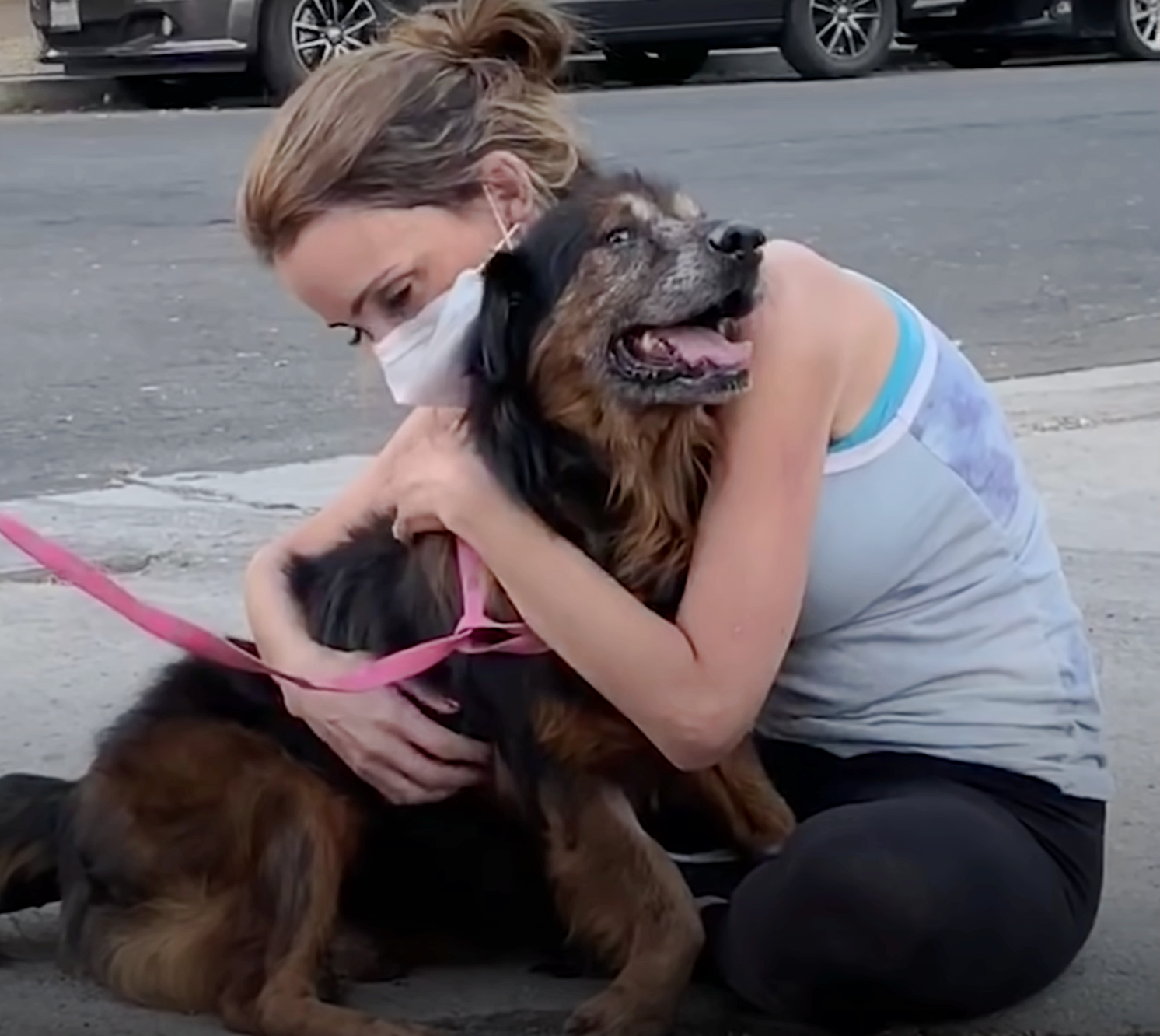 Dog With Eyes Sealed Shut And Mangled Leg Waned In Overrun Shelter For ...