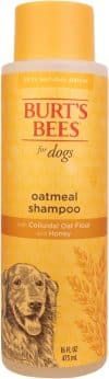 10 Best Dog Shampoo Products - iHeartDogs.com