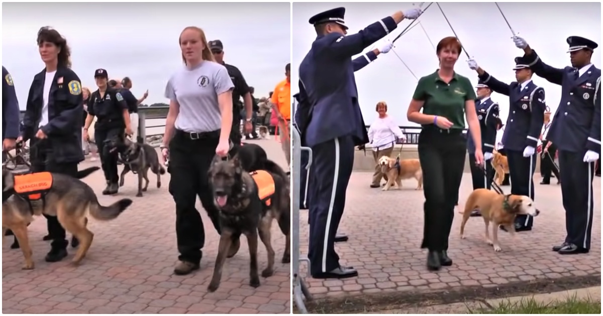 Flags Flew Proudly As The 'Unsung Heroes' Of 9/11 Were Finally Given ...