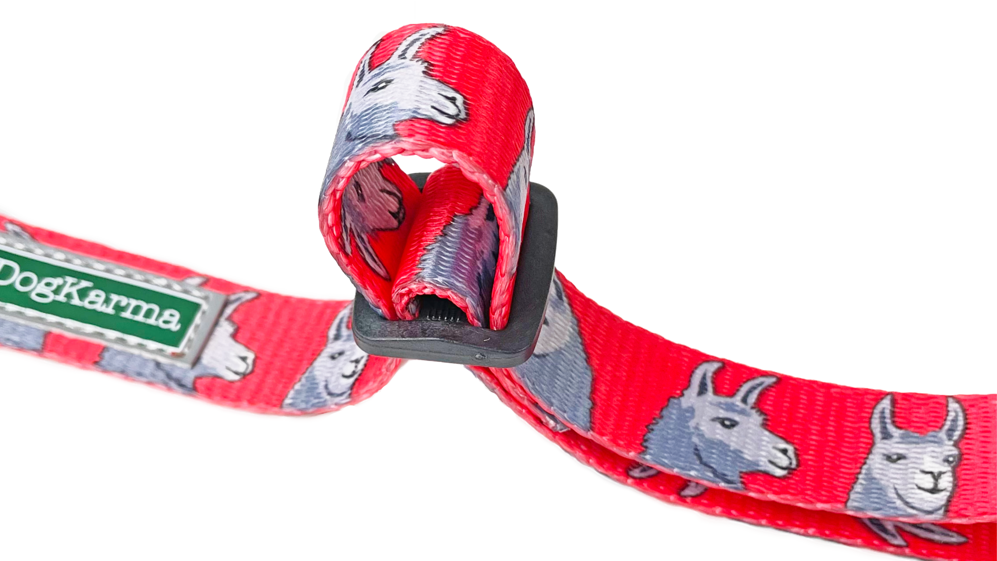 Llama Dog Collar - iHeartDogs.com