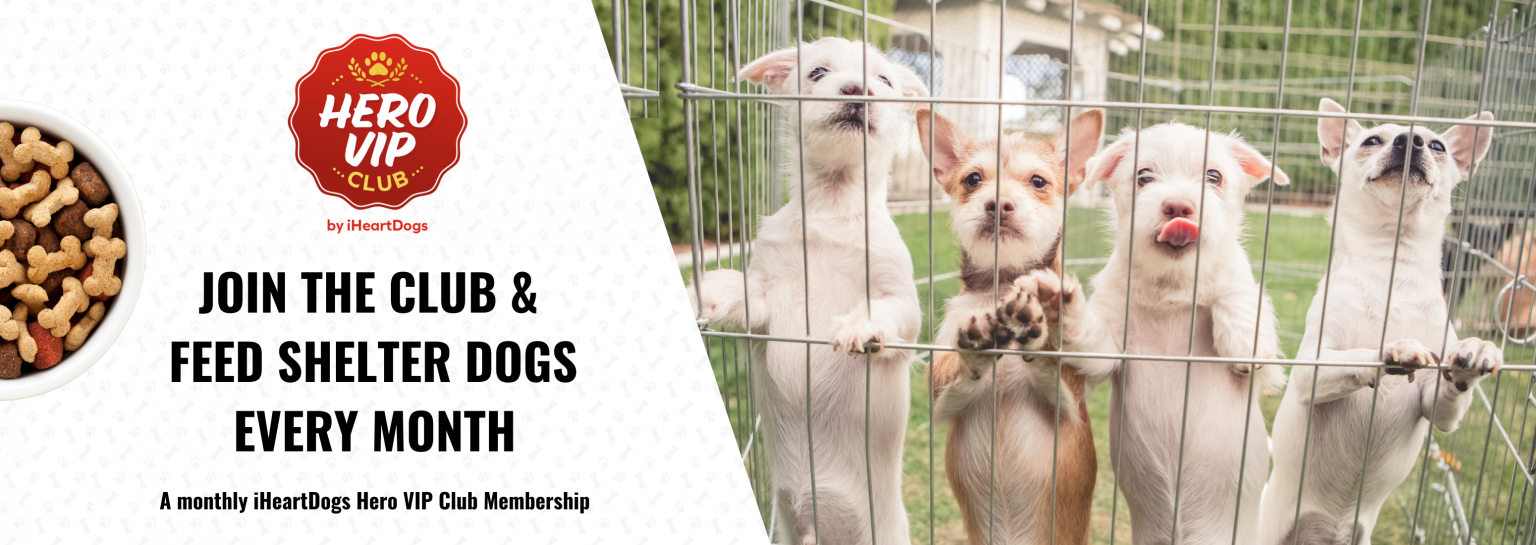 iHeartDogs Hero VIP Club - iHeartDogs.com