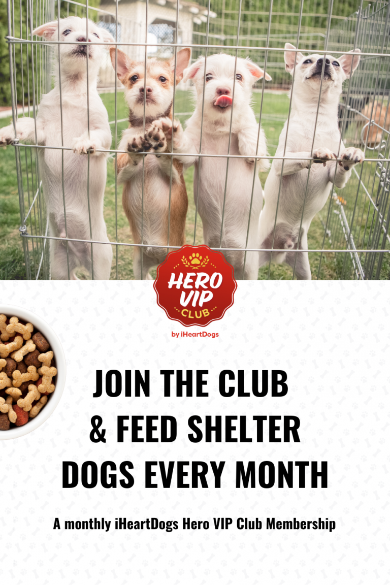 iHeartDogs Hero VIP Club - iHeartDogs.com